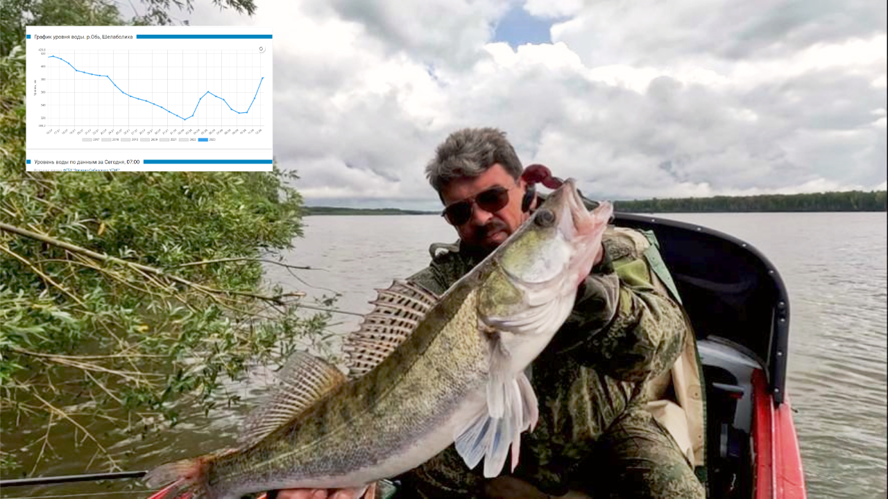 ВОДА ПРЕТ, РЫБА не КЛЮЕТ. Рыбалка на Оби ( Сузун ) 13 августа 2023г.