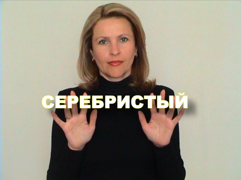 ЖЕСТОВЫЙ ЯЗЫК. СЛОВАРЬ. Серебристый