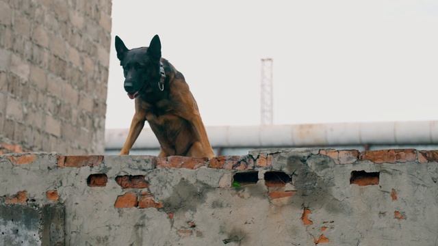 Герои среди нас!