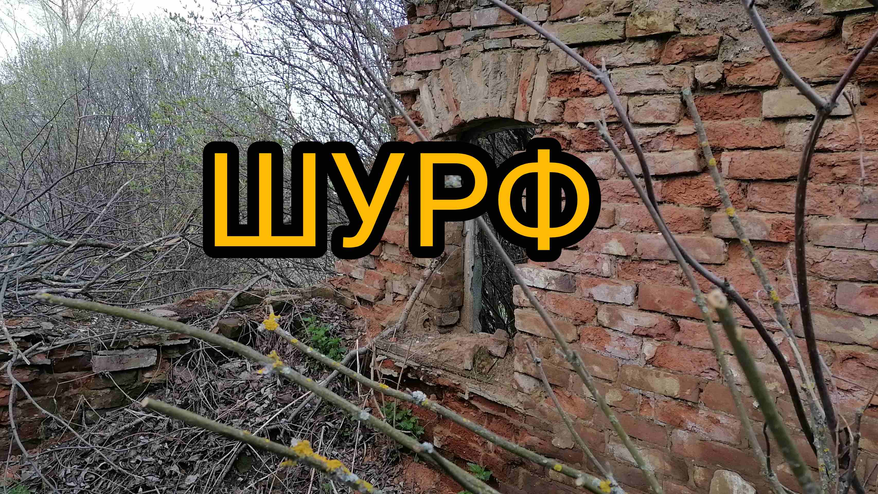 ШУРФ .