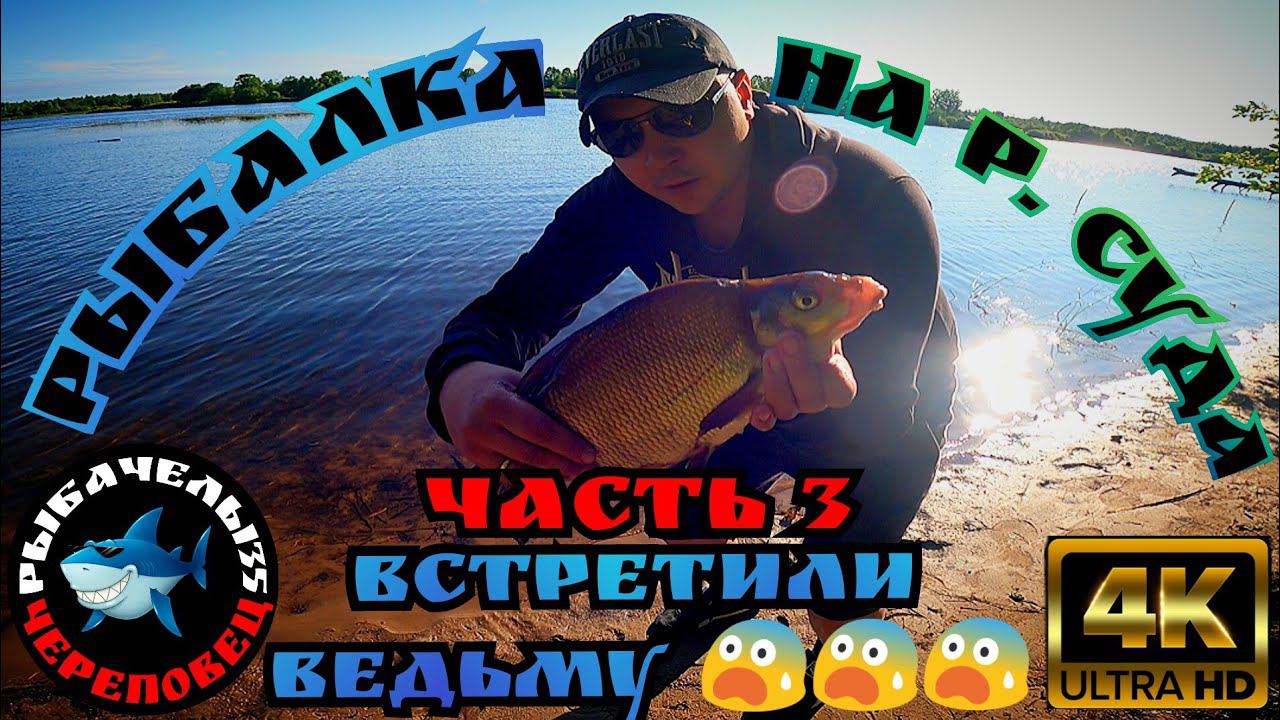 Рыбалка на Фидер в 4К на р.Суда.Третья часть!!! Ловим ЛЕЩА.Проверяем налимовки!!! Встретили  ВЕДЬМУ!