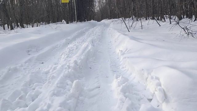 КУДА ПОЙДЕШЬ, ТУДА И ПОПАДЕШЬ