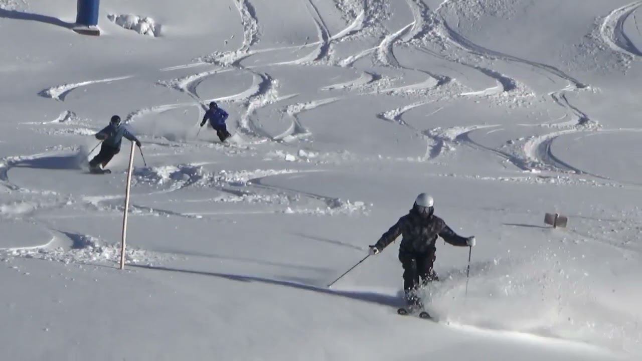 Проезд на разбор