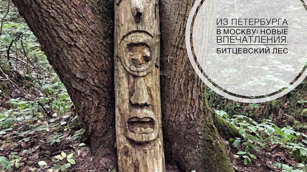 2018. Москва: Новые впечатления. Битцевский лес