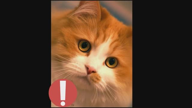 Новый ноутбук