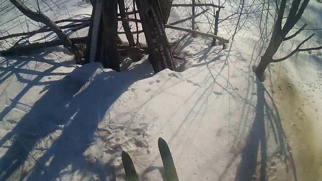 Пчёлки 73. Приближаю весну как могу