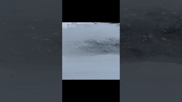 Атака титана