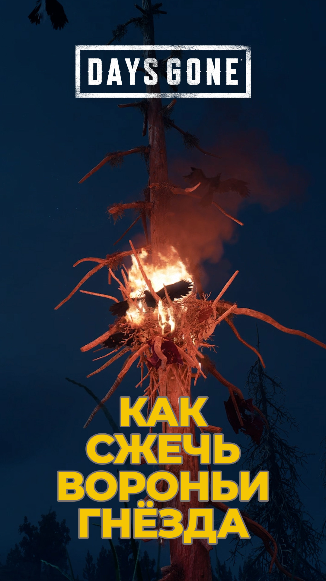 Как жечь вороньи гнёзда в игре Days Gone (Жизнь после)  #daysgone #daysgoneигра