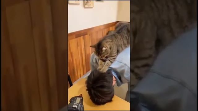 Настоящий массажист.mp4