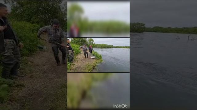 Ловля чавычи на воблер 80 мм (13 гр) от Mr. Musurok