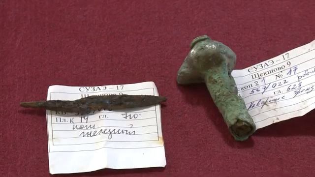 Николай Макаров об археологических находках курганного комплекса в Ширшово в Суздальском ополье.mp4