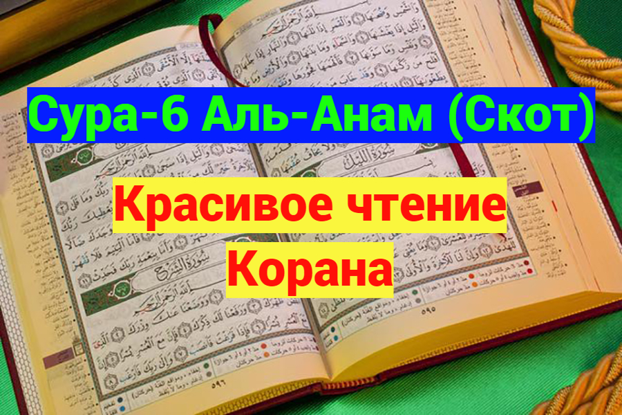 Сура-6 Аль-Анам(Скот) Очень красивое чтение Корана/ #ПризывМусульман #ислам