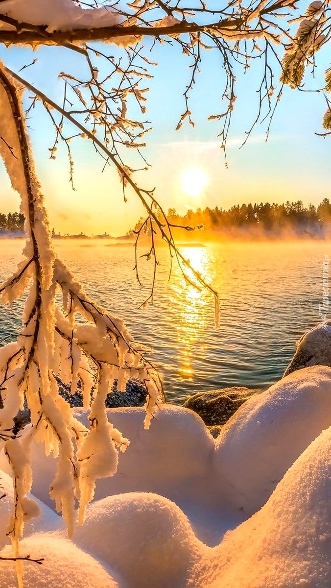 ❄️ С добрым зимним утром!