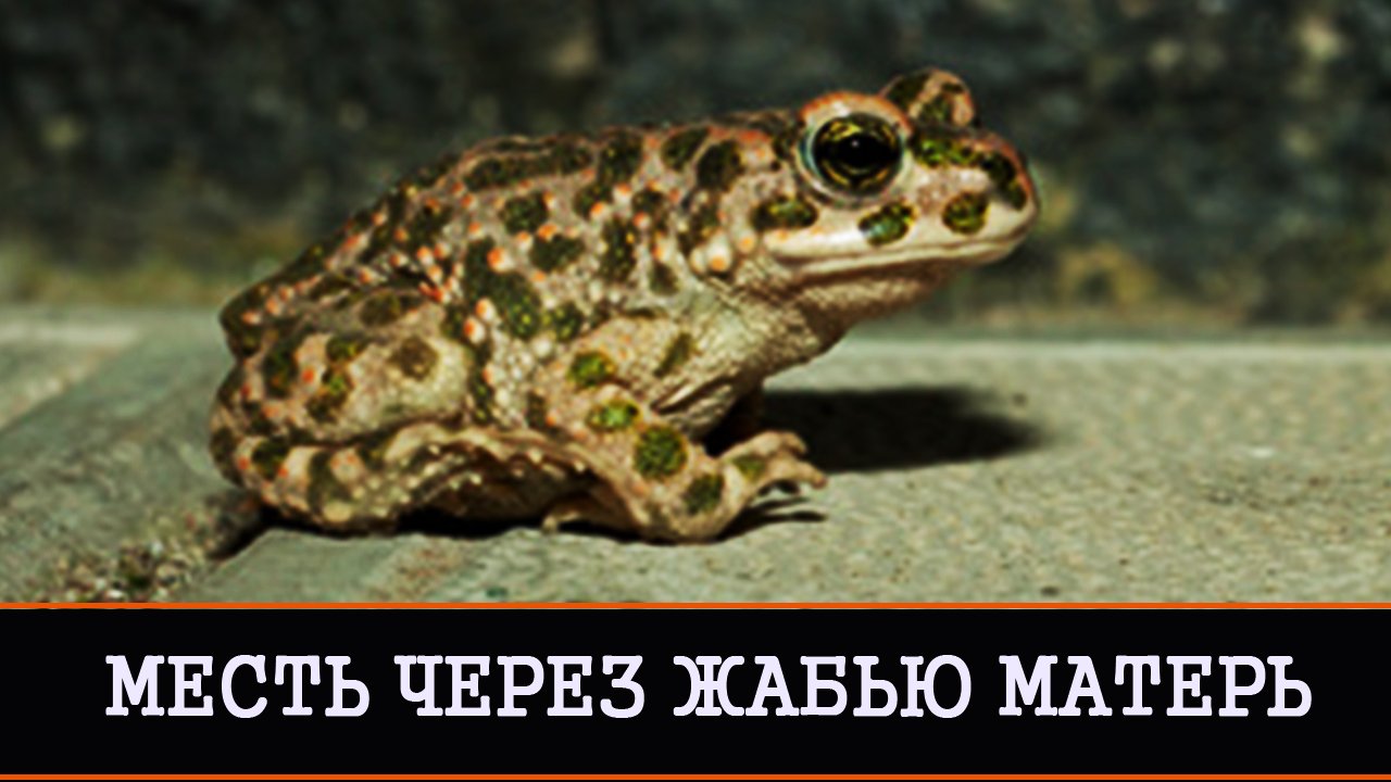 МЕСТЬ ЧЕРЕЗ ЖАБЬЮ МАТЕРЬ | ОЧЕНЬ СИЛЬНО | РИТУАЛ ДЛЯ СМЕЛЫХ |ИНГА ХОСРОЕВА | ВЕДЬМИНА ИЗБА