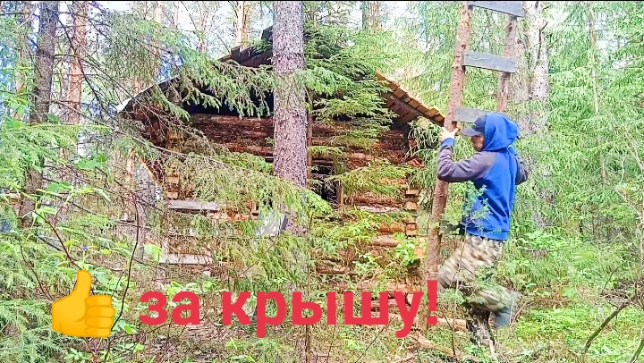 Стройка ВЕКА! крыша двухкомнатного лесного дома ГОТОВА! Грядки оживают.