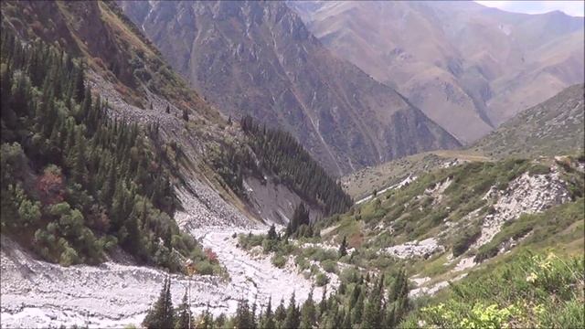 Природа для спокойствия, новых идей....