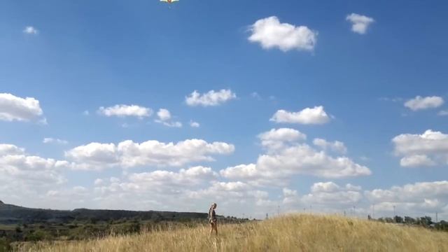 Мы с доцей запускаем летучего змея