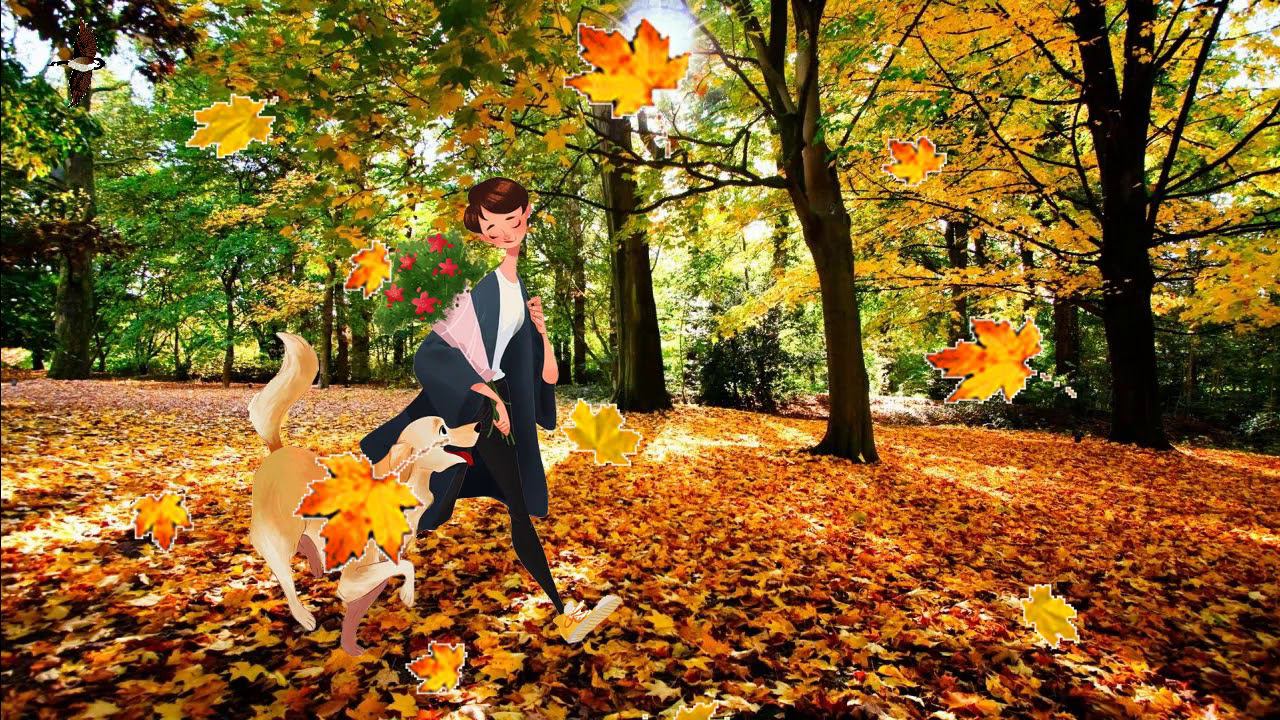 Футаж Осенняя прогулка