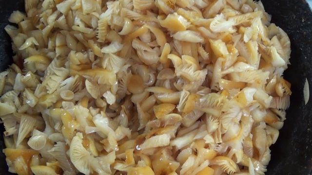 Зимние грибы с картошкой.