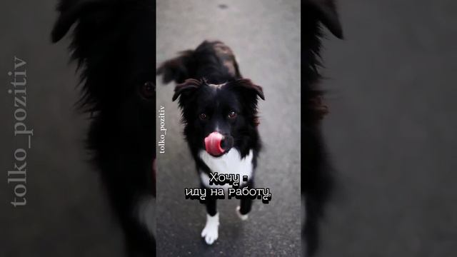 Немного юмора