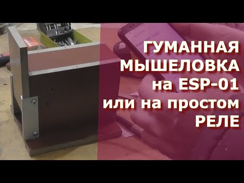 Гуманная мышеловка на ESP8266(ESP-01)