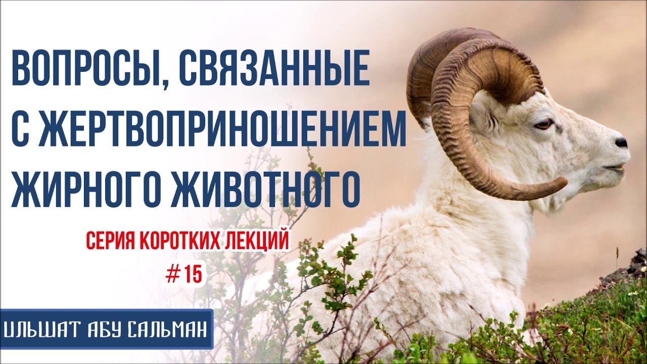Ильшат Абу Сальман. Вопросы, связанные с жертвоприношением жирного животного. Лекции Курбан-Байрам