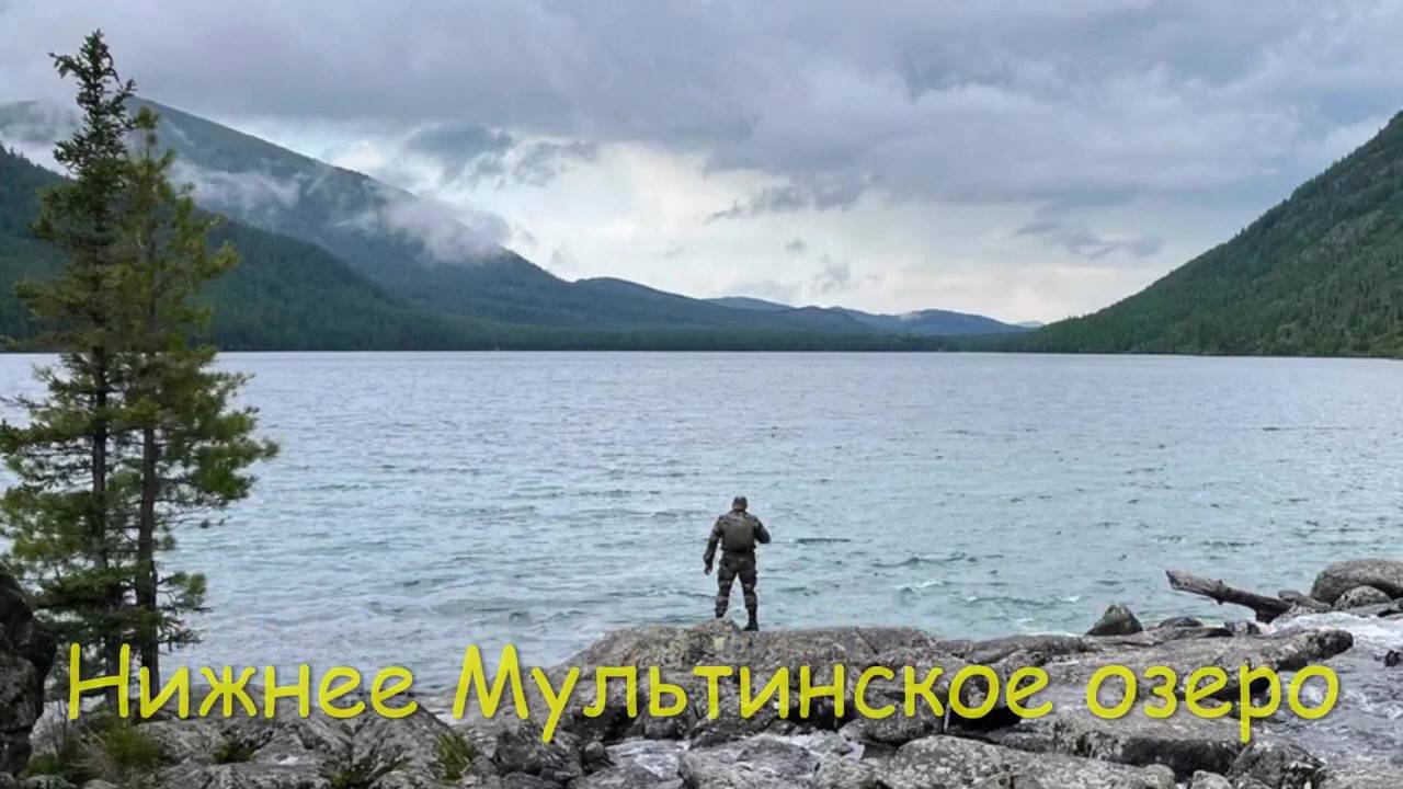 Мультинские шумы.