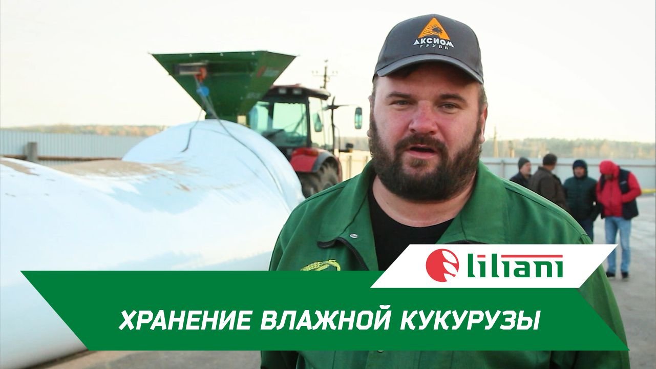 Хранение в рукавах цельной кукурузы с влажностью 38%