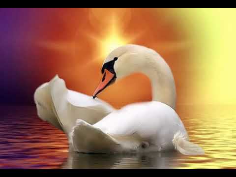Медитация "Золотой Лебедь" Гармония, Чистота, Исполнение Желаний  В 30 Лунные Сутки