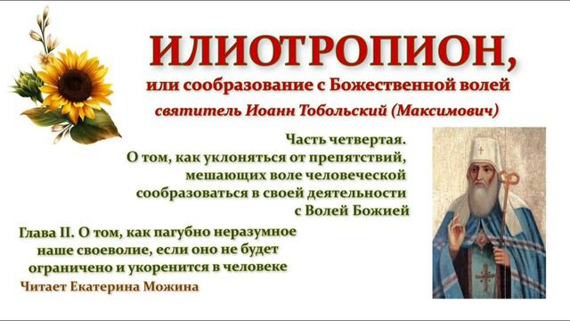 18. Илиотропион ЧАСТЬ IV, ГЛАВА II.