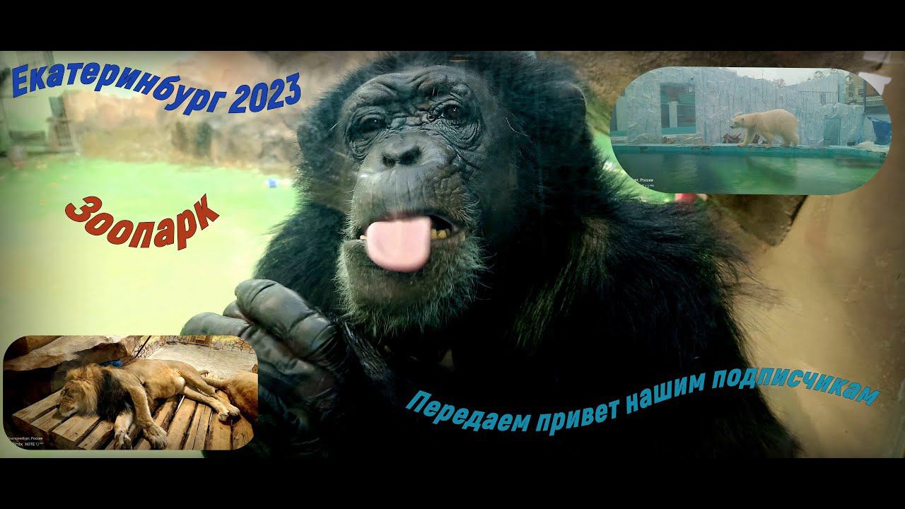 Зоопарк Екатеринбурга .Приветы подписчикам
