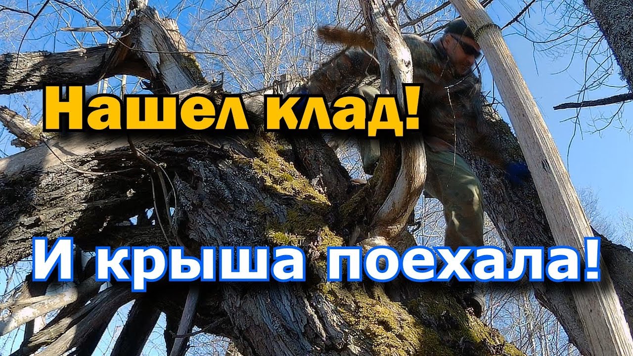 Как неожиданное богатство может повлиять на психику. Юмор.