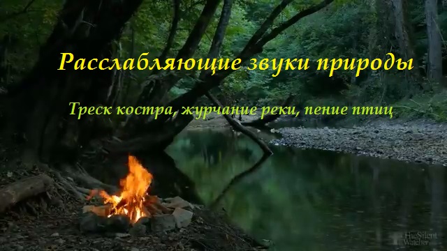Расслабляющие звуки Костра у реки  звуки природы для медитации, релакса и сна HD Relaxing sounds