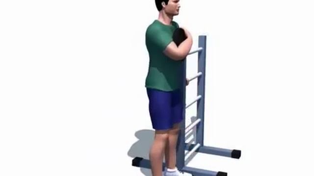 Сисси приседания