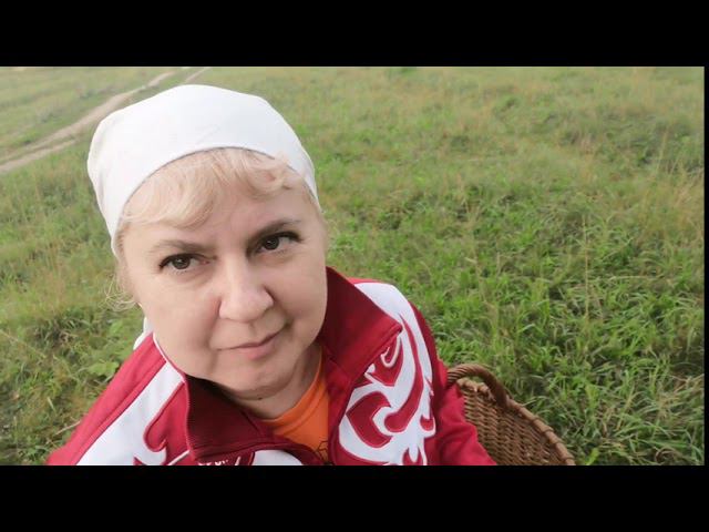 В лес за грибами.