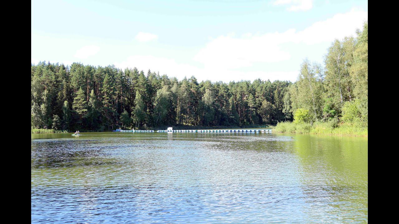 База отдыха "РОДНИК", август 2023 г., рядом с Зеленоградом, на Истре.