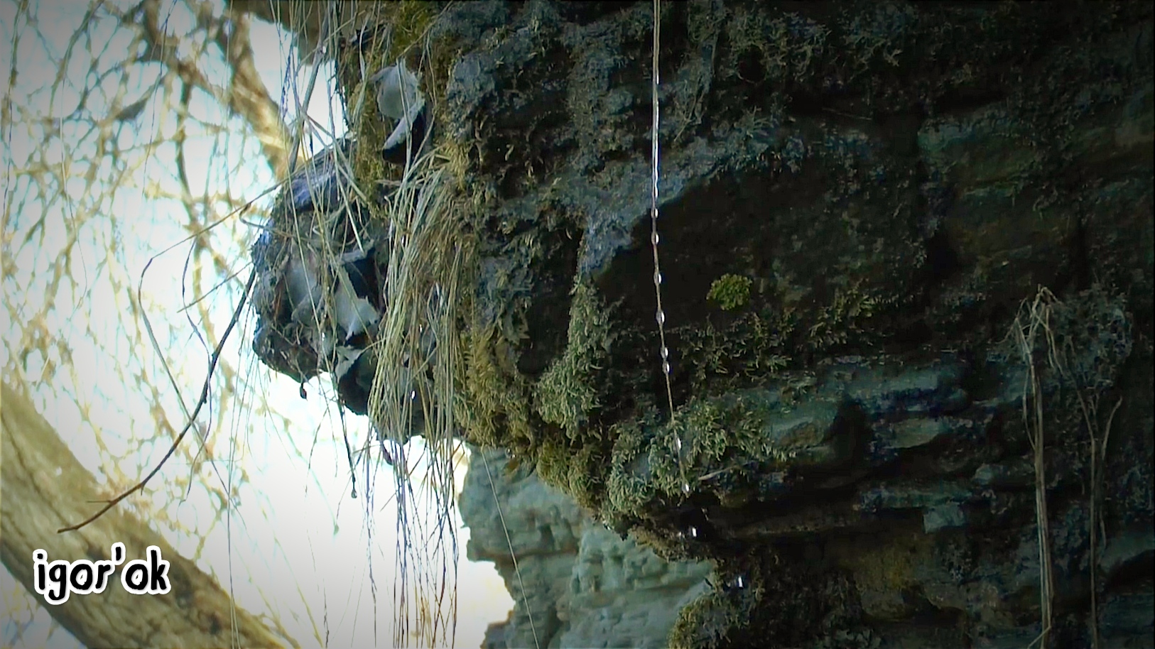 Наконец-то и у нас Весна