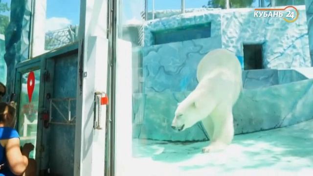 Геленджик – самая длинная набережная в России, пляжи, йога и археология _ Геолокация – отдых