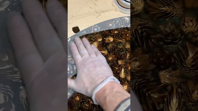 Шедевральная работа!