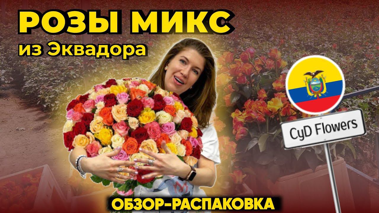 РОЗА ИЗ ЭКВАДОРА | ОБЗОР- РАСПАКОВКА роза микс от плантации CyD Flowers