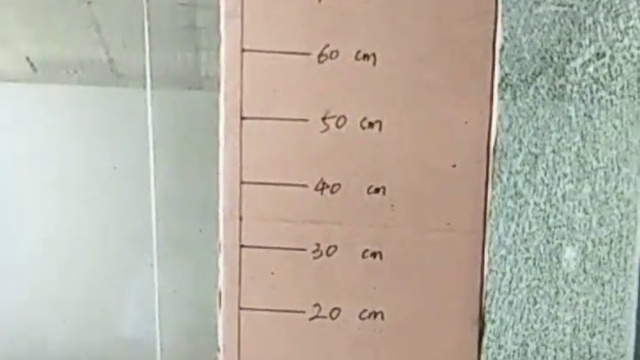 Металлодетектор, S-Line TS-150, Катушка 12 дюймов, Металл до 1,5 м, Монета 35-40 см, 2019