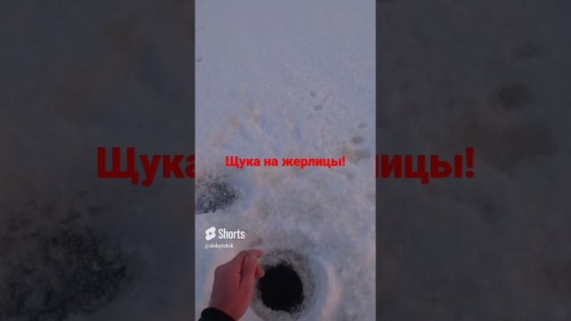 РЫБАЛКА НА ТАЕЖНОМ ОЗЕРЕ В МОРОЗ...