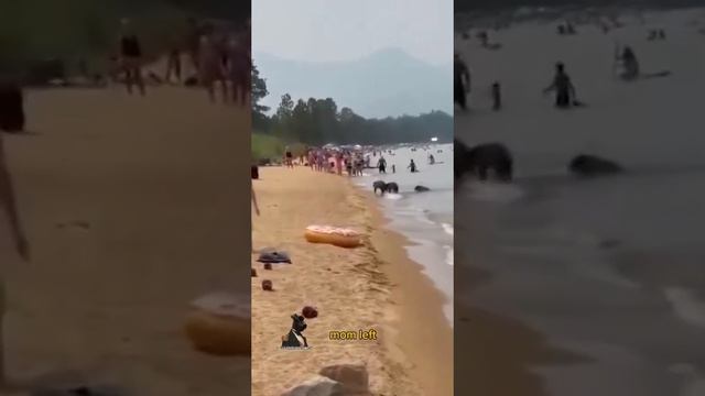 Обстановка на пляже Байкала