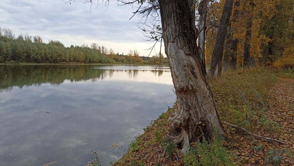 Интересные факты о половодьях на реках