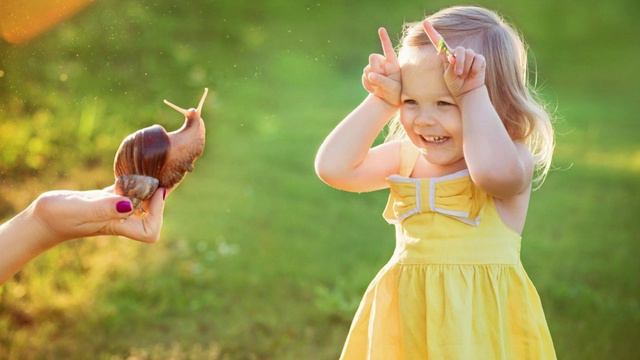 Песня жизни. песнопение.