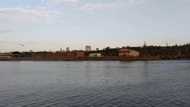 Чайки #Деньреки
