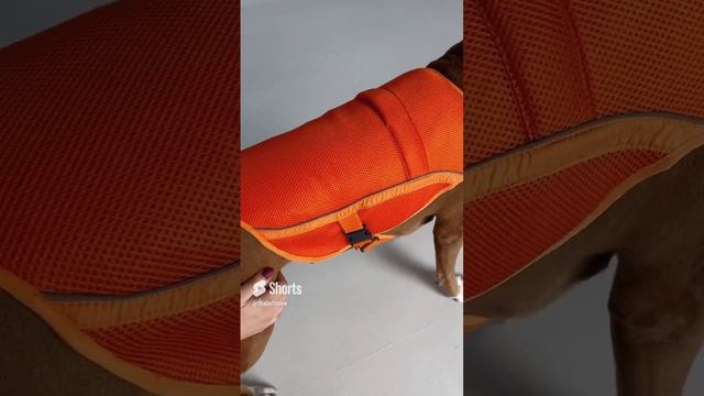 Обзор охлаждающего жилета Балу