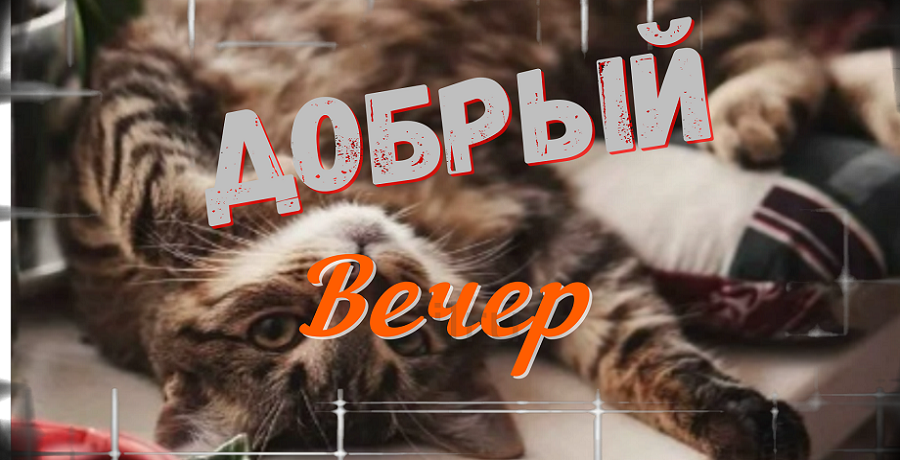 ДОБРЫЙ ЗИМНИЙ ВЕЧЕР! КРАСИВОЕ ПОЖЕЛАНИЕ ЧУДЕСНОГО ВЕЧЕРА!