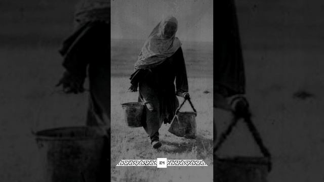 Салтанат #shorts