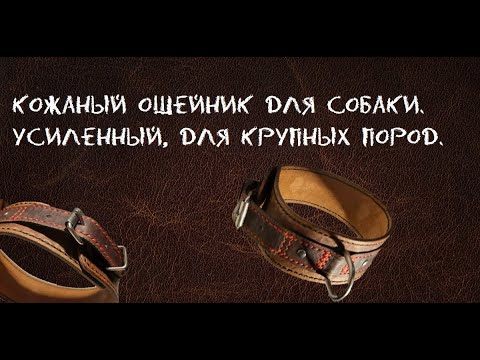 Кожаный ошейник для собаки - широкий, усиленный, ручной работы своими руками